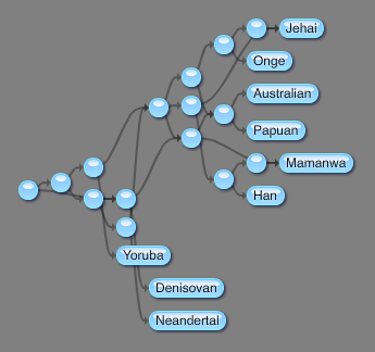 Human Clades: A Look at a Complex Phylogeny – Evrim Teorisi Online