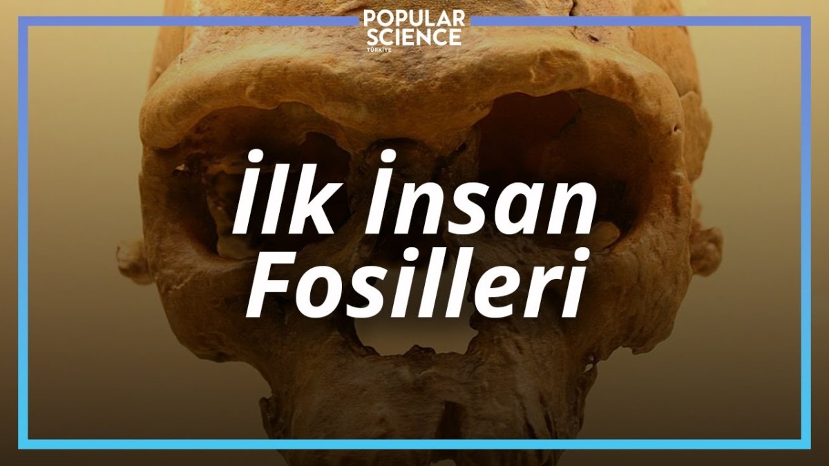Video: İLK İNSAN FOSİLLERİ | Popular Science Türkiye – Evrim Teorisi Online